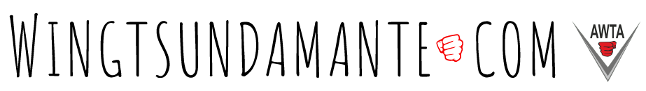 Wing Tsun Damante – Difesa personale e arti marziali